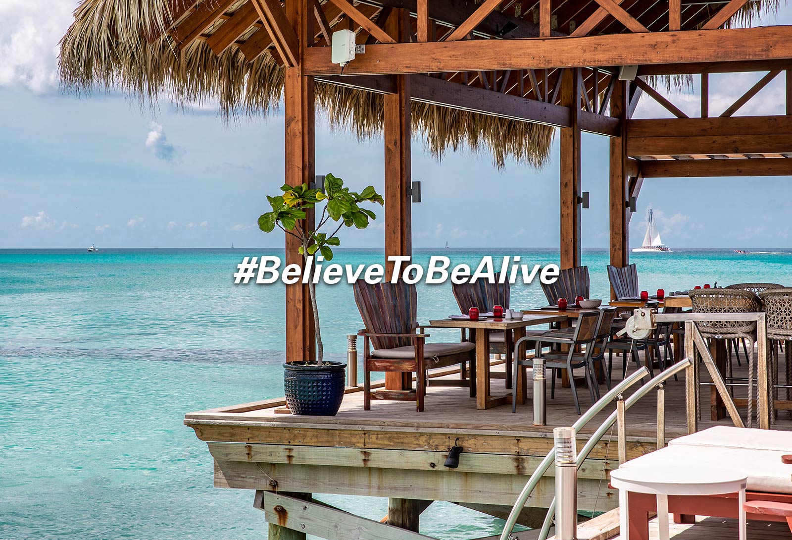 Be Live Hôtels | Site Officiel | Belivehotels.com